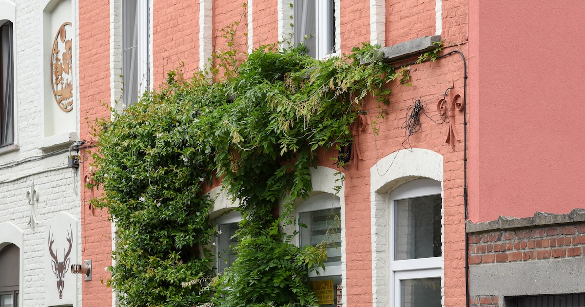 Binnenkijken in een rijtjeshuis in Gent: ‘We willen verdwalen in eigen ...
