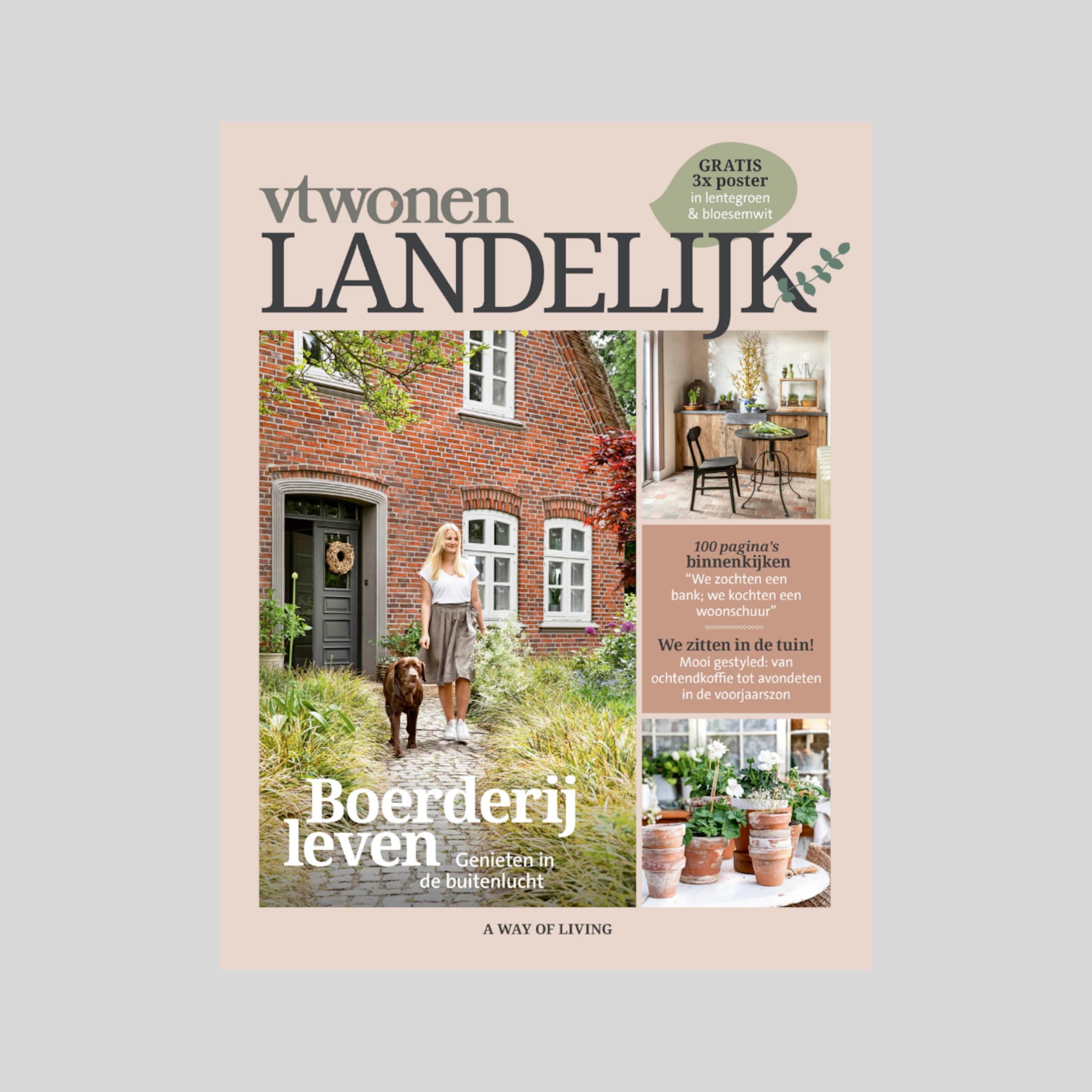 Leven Als Een Huis Poster